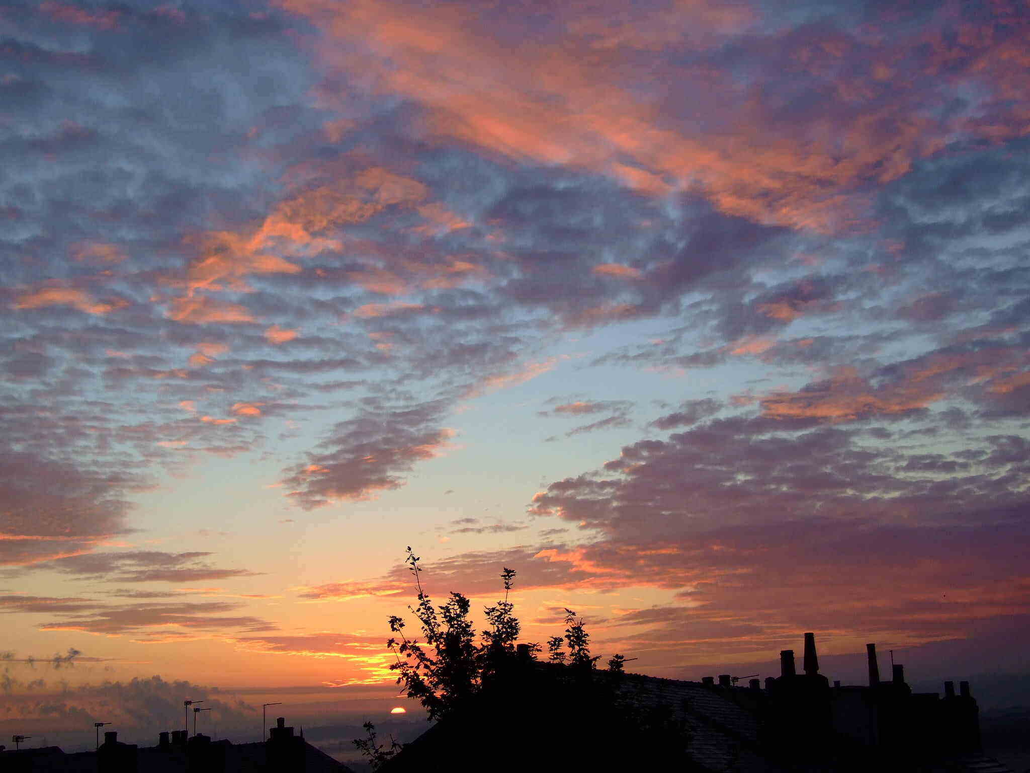 American Pop Singer, Ari Gold, Dies at Age 47