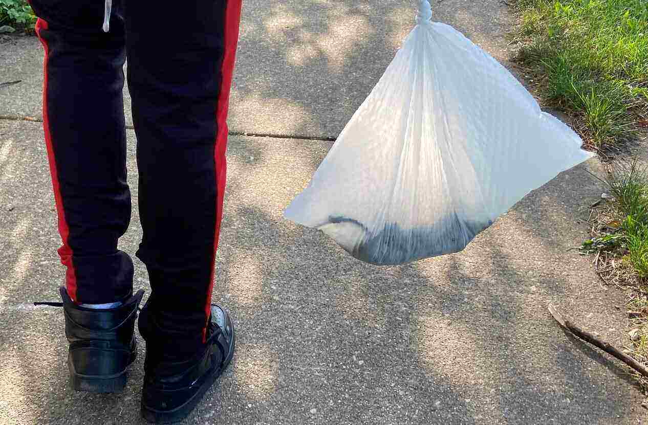 Super Rats Are a Real Threat to Chicago Residents