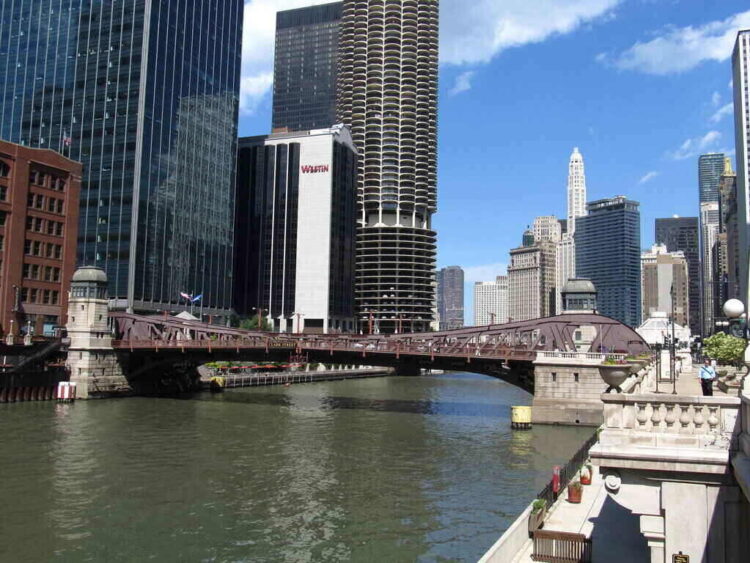 Huge Snapping Turtle Proves Chicago River Is Less Polluted
