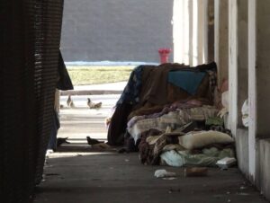 Chicago's Poverty and Solutions