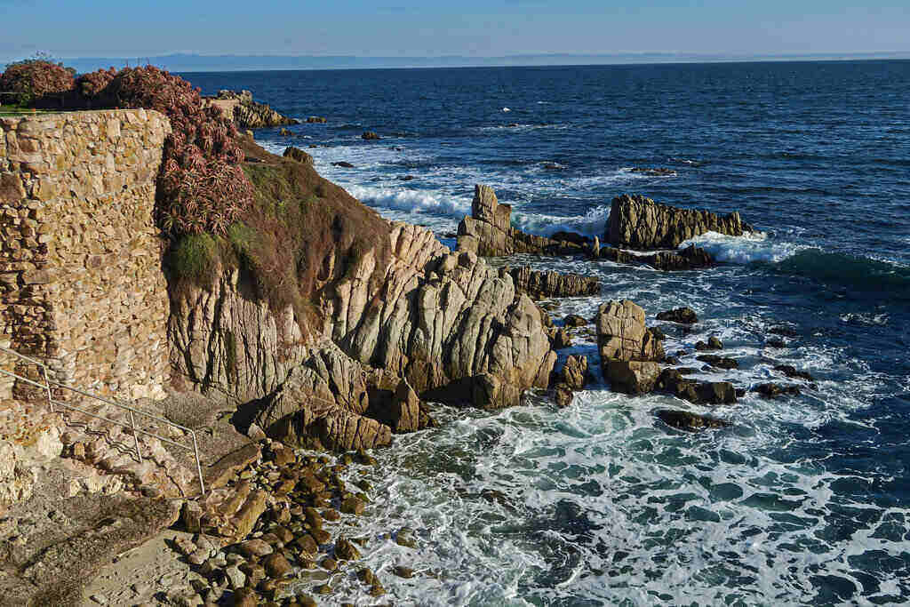 Why Is Sea Life at Risk?