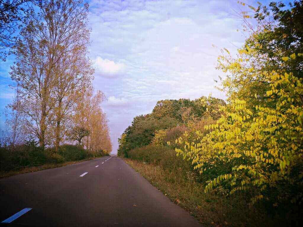 Road Safety Personal Responsibility